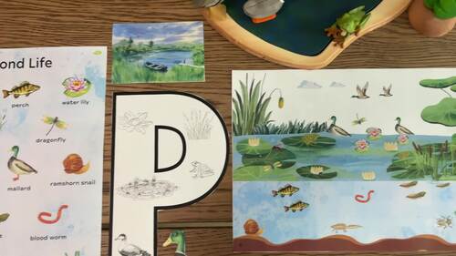 Pond Life - Mini Unit by Gorun's World | TPT