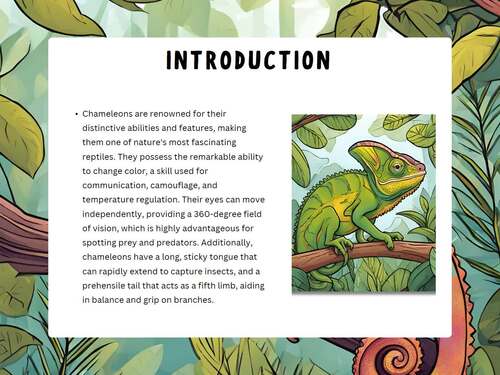 All about Life Cycle of a CHAMELEON PowerPoint Lesson, 3rd 4th 5th Grade