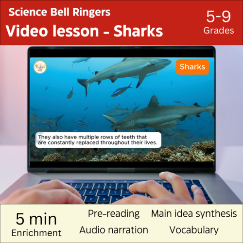 Science bell ringer video (4 min) - Sharks - Middle school | TPT