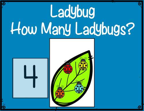 Ladybug Counting Games: How Many Ladybugs? Numerals & Number Words