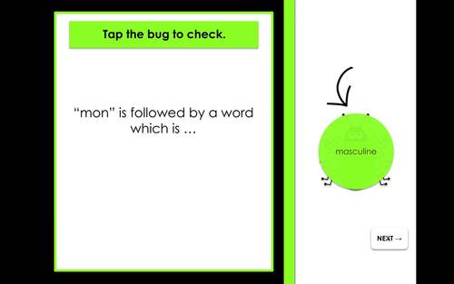 French Possessive Adjectives GOOGLE SLIDES Game | Adjectifs Possessifs