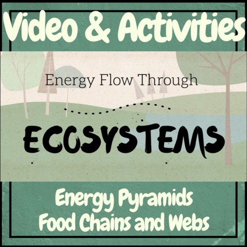Ecosystems: Energy Flow Pyramids, Food Chains and Webs Video ...
