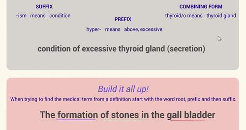 Medical Terminology Poster by MA Study Source | TPT