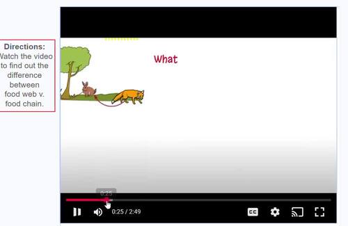 Food Chain Activity & Ecosystem Posters & Video | 5–8th Grade Science ...