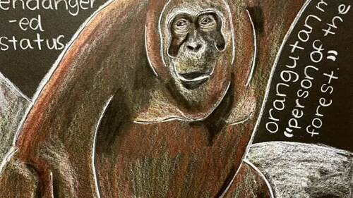 JUDY CHICAGO ENDANGERED ANIMAL ART PROJECT & ACTIVITY BOOK WITH LESSON ...