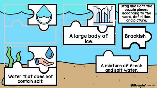 Bodies of Water | Landforms | Digital Activity | Vocabulary Cards