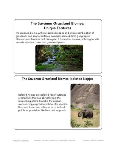 Savanna Biome Grasslands Tropical Fast Facts Marine Biome Unit Study
