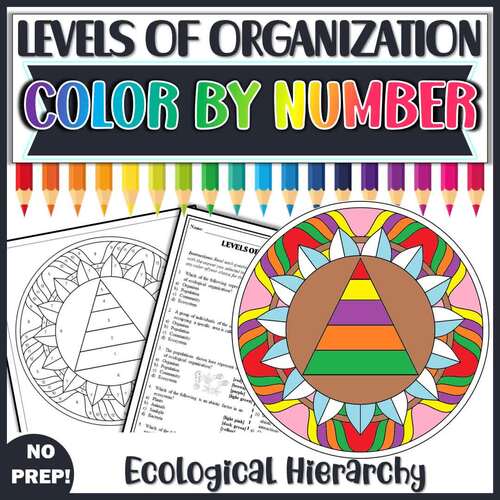 Levels of Organization in Ecosystems Color by Number | Review Worksheet ...