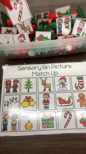 Sensory Bin: Christmas by MS Speech and Teach | TPT