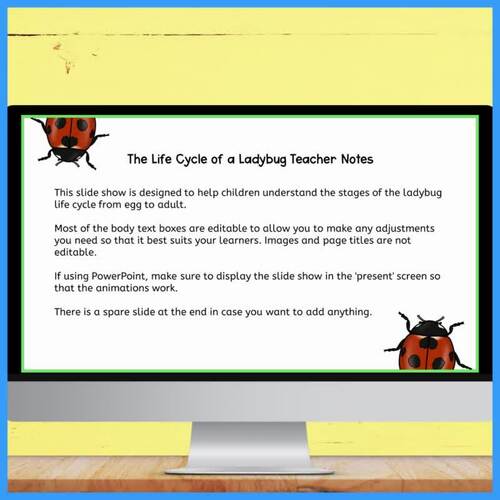 Insect life cycles Google Slides presentations butterfly ladybug ...
