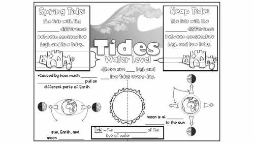Ocean Tides Doodle Notes & Quiz | NGSS Earth Science | TPT