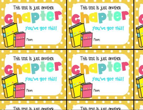Notebook (Book) Testing Motivation Gift Tag- This test is just another ...