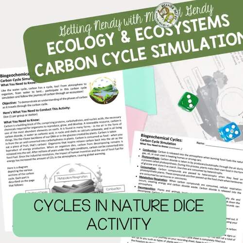 Ecology | Ecosystems | Cycles in Nature | Carbon Cycle Dice Simulation Game