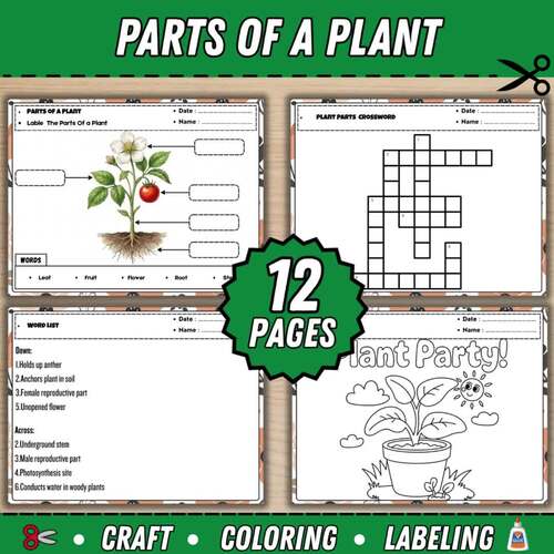 Parts of a Plant Worksheets | Plant Science & Spring Units | Crossword ...