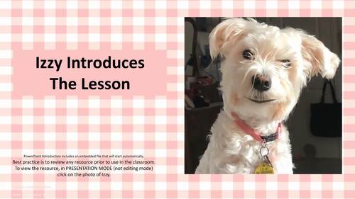 READY TO USE Self-acceptance Diversity Tolerance BULLYING SEL Lesson 4 ...