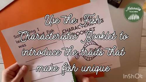 Fish Characteristic Booklet by Naturally Teaching | TPT