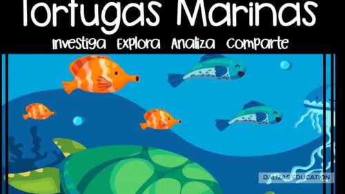 Las tortugas marinas | Sea turtles Project and activities by Dalizas ...