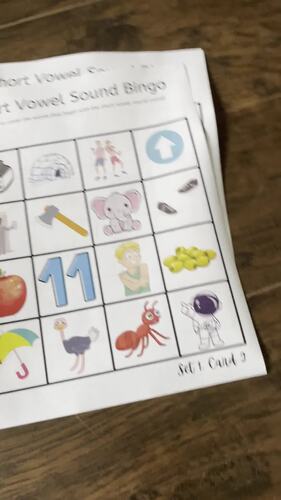 Short Vowel Sounds Reading Bingo by Read Without Tears | TPT