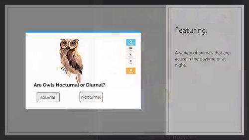 Animals: Nocturnal or Diurnal? 1st grade - 2nd grade boom card deck