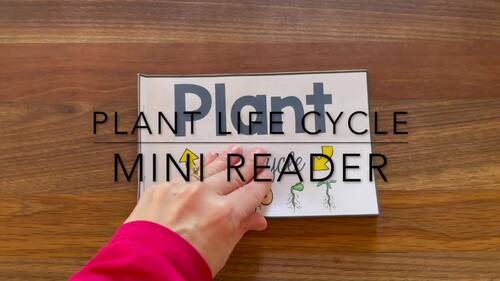 Life Cycle of a Plant Mini Reader Plants and Seends Plants Unit What ...