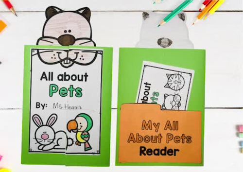 All about Pets | Domestic and Wild Animals Activities | Pet Craft by Ms ...