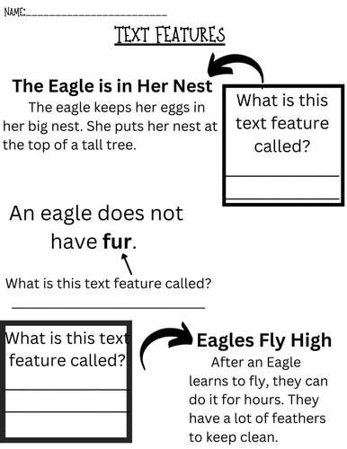 Text Features RI 2.5 Worksheets by Owl Be in the Classroom | TPT