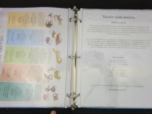 Reptiles Unit: a study of the biodiversity and traits of reptiles!