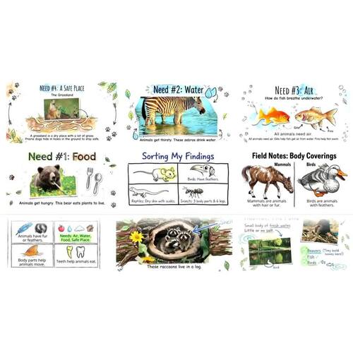 Animals Needs Animated Slides |Doodle Note Science |Teaching Materials ...