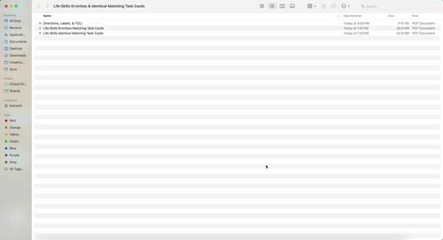 Life Skills Errorless & Identical Matching Task Cards by The Autism Helper