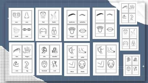 Human Body Parts Flashcards Parts of body Posters Printable by MJ MAY
