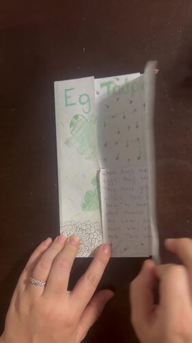 Frog Life Cycle Book by Science Solvers | TPT