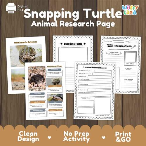 Snapping Turtle Animal Research Project | Life Cycle Habitat Diet ...