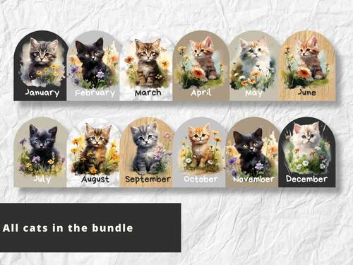 Birthday display for classrooms - Cats and dogs - Classroom decor