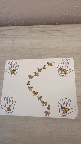 Midline Crossing Animal Packet Occupational Therapy by Play The OT Way