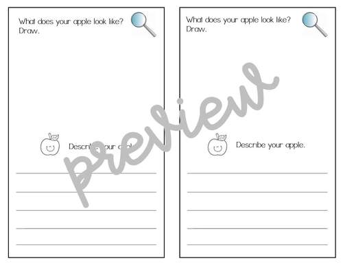 Apple Day Science Notebook to record Investigations, Explorations
