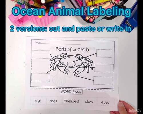 Label Parts of Ocean Animals | crab squid shark jellyfish sea turtle ...