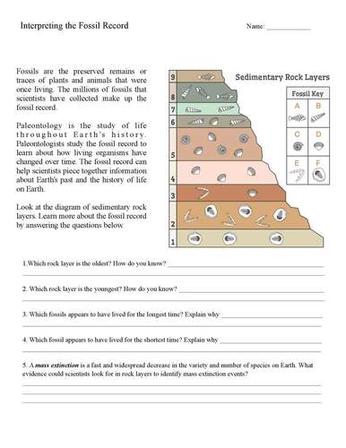 Interpreting the Fossil Record by Geology and Ecology Store | TPT