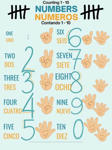 Bilingual English/Spanish Number Poster 1 - 10 with Finger Counting