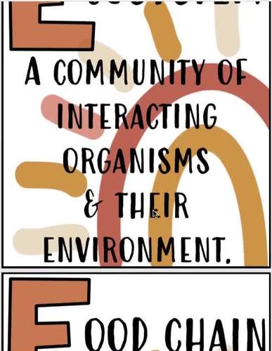 Science Alphabet Posters | Boho Rainbow | ABCs Line | Vocabulary ...