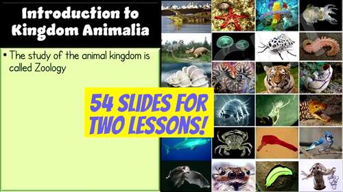 Introduction to Zoology Complete 2-Lesson Bundle (Slideshow, Notes ...