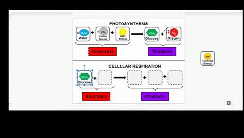 Energy Relationships by iLearn Science | TPT