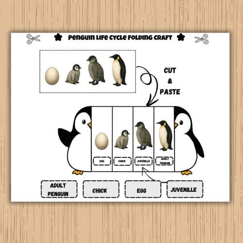 Penguin Life Cycle Folding Craft | Cut & Paste Science Activity|Winter ...