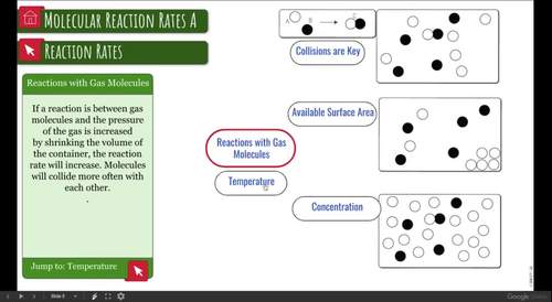 Rate Laws Interactive Diagram by Science With Mrs Lau | TPT