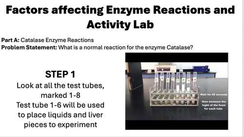 Science Lab Activity and PowerPoint Presentation for Enzyme Reaction Lab
