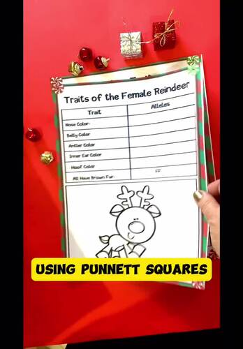 Christmas Reindeer Traits Genetics Review | Dice Roll Punnett Square ...