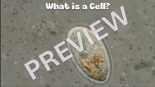 Introduction to Cells and the Cell Theory PowerPoint Slideshow ...