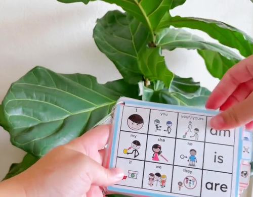 Language Mini Visuals Set 1 for Speech Language Therapy with Core ...