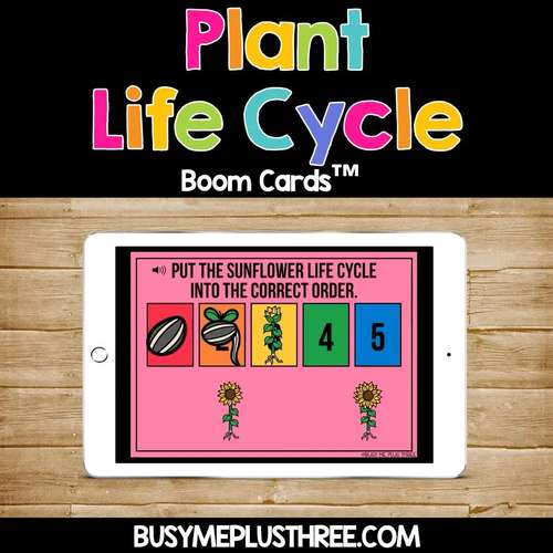Plant Life Cycle BOOM CARDS™ Science Digital Learning l Tomato l Sunflower
