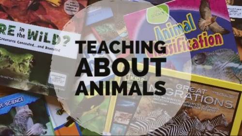 Animals Unit | Google Classroom Compatible | Distance Learning | TpT