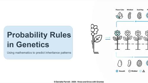 AP Biology Probability Rules in Genetics | PDF Presentation | TPT